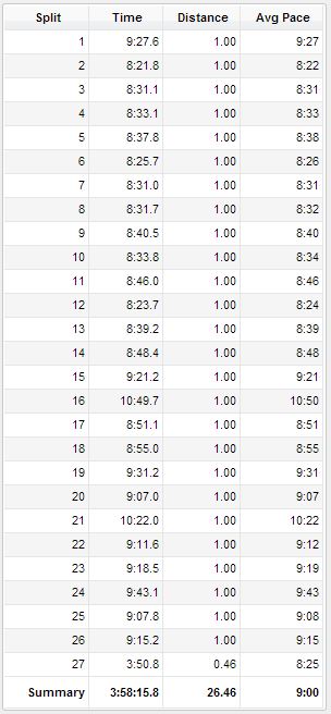 2013 NYC marathon - the race report! | The Whole World Is A Playground