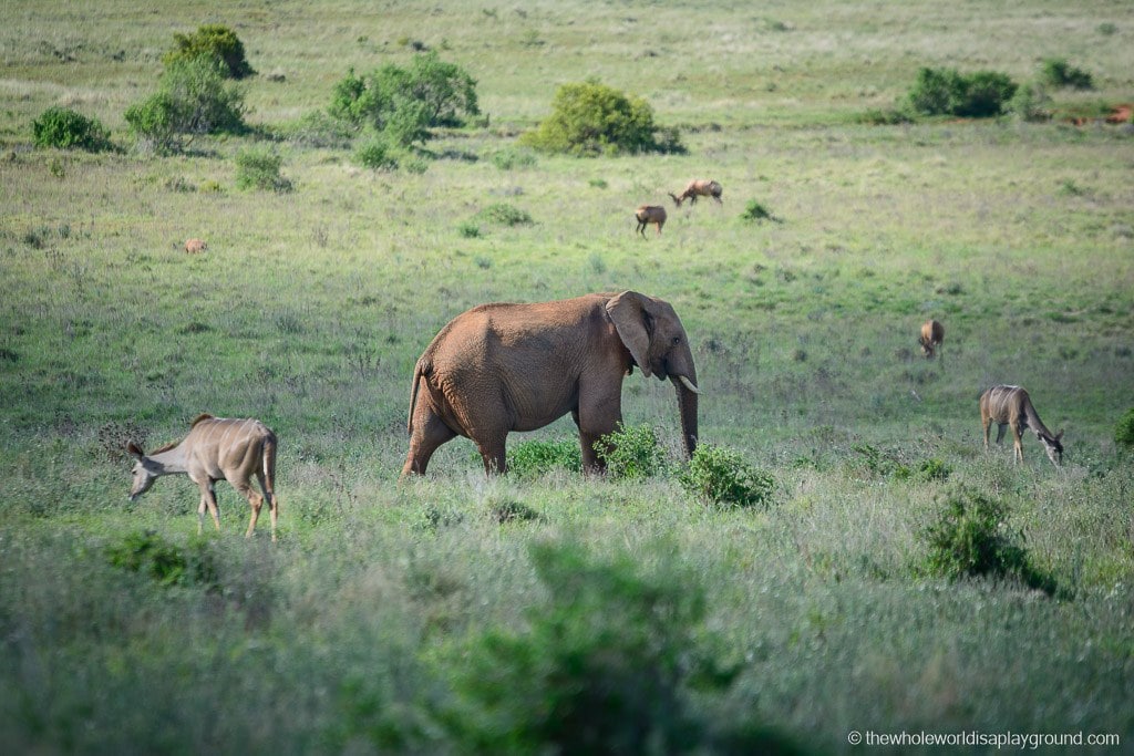 Best Sights on the Garden Route: 10 must see stops on South Africa’s ...