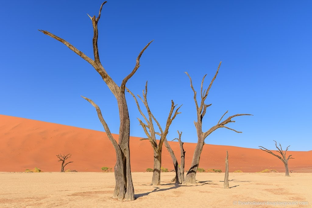 Namibia, Botswana and Victoria Falls: Africa adventure of a lifetime ...