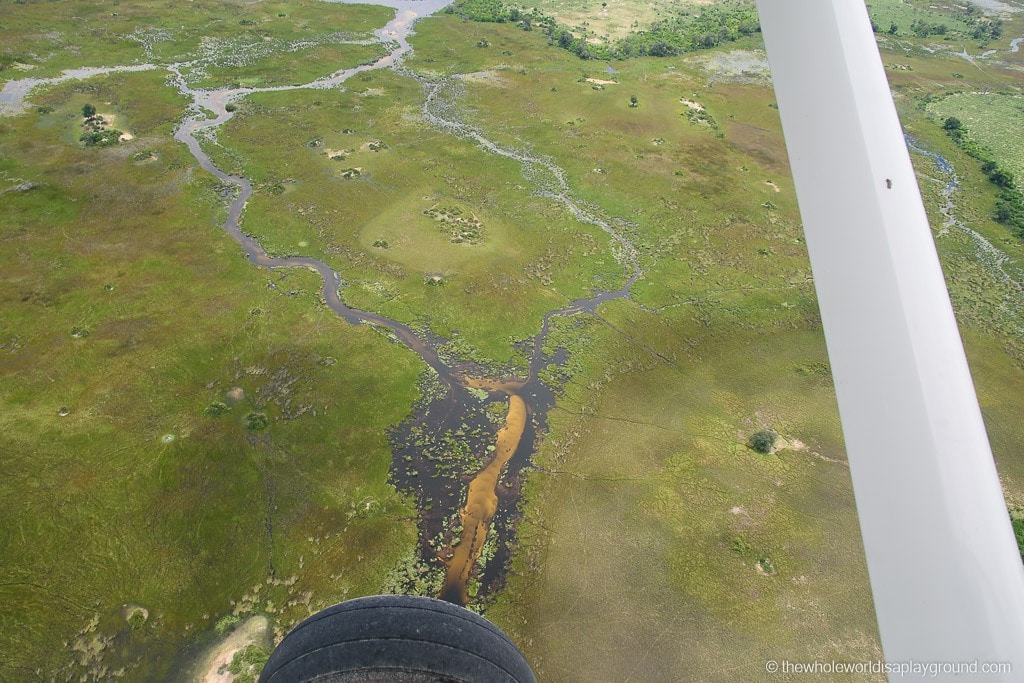 Xigera Camp: Our Wilderness Safaris adventures in the Okavango Delta ...