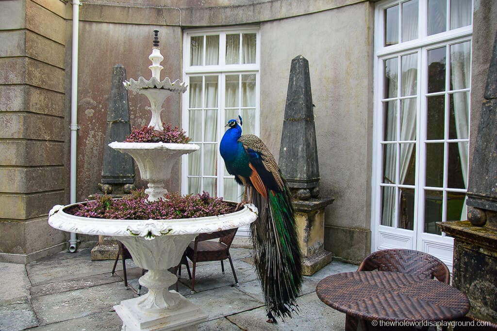 Marlfield House, Ireland: luxury boutique hotel review | The Whole ...