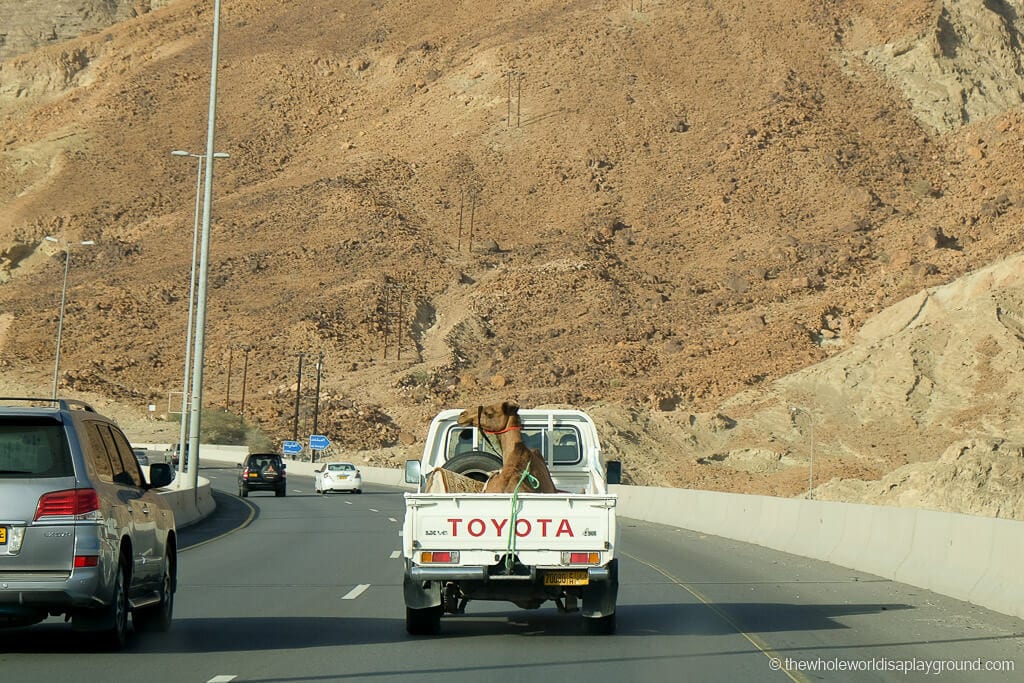17 Tips for Renting a Car in Oman | The Whole World Is A Playground