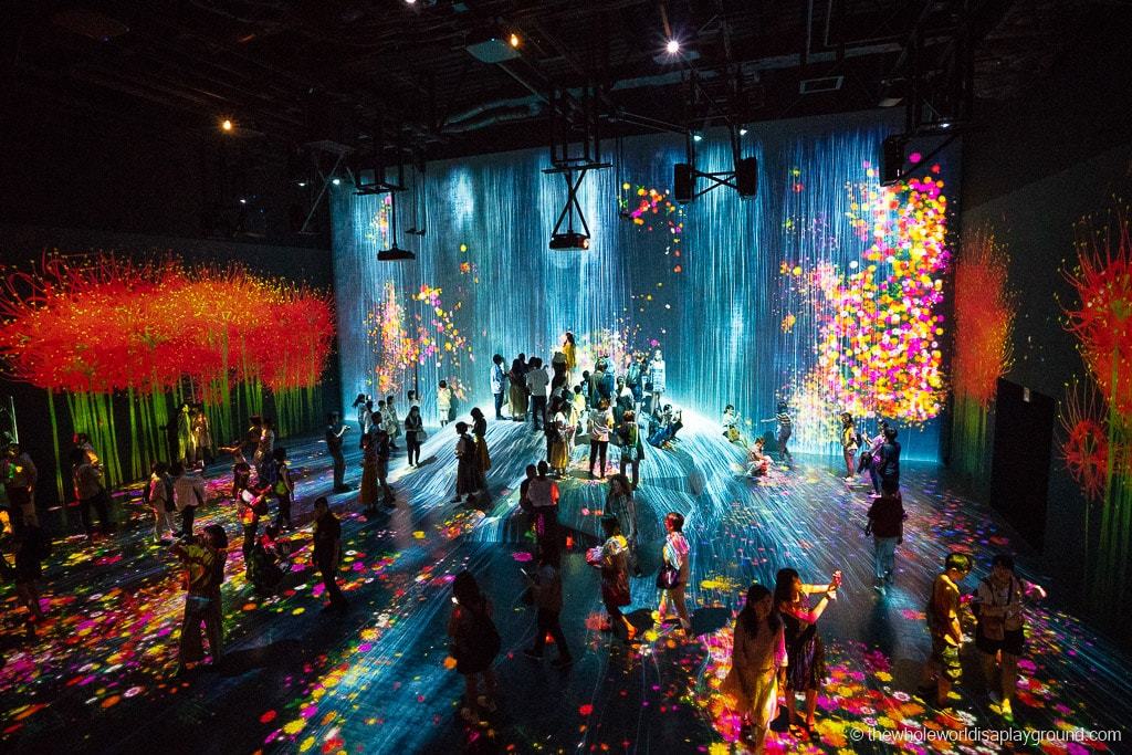 TeamLab Borderless Tokyo: Ultimate Guide | The Whole World Is A Playground