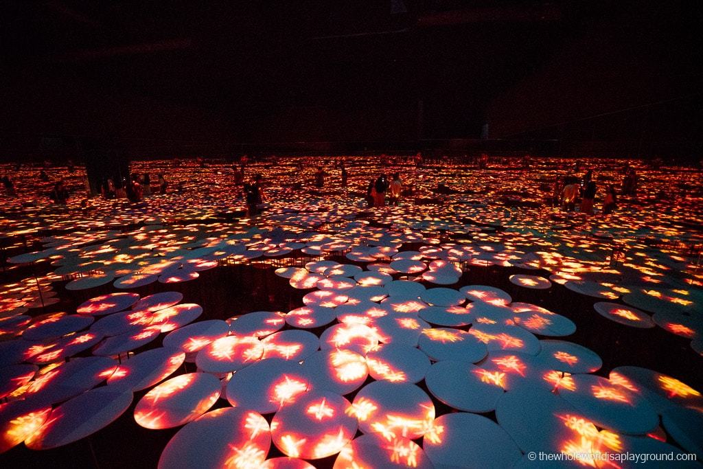 TeamLab Borderless Tokyo: Ultimate Guide | The Whole World Is A Playground