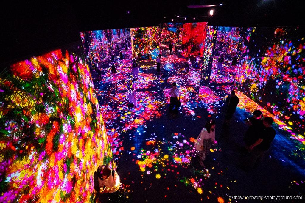TeamLab Borderless Tokyo: Ultimate Guide | The Whole World Is A Playground