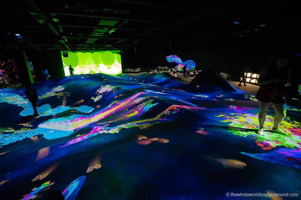 TeamLab Borderless Tokyo: Ultimate Guide | The Whole World Is A Playground