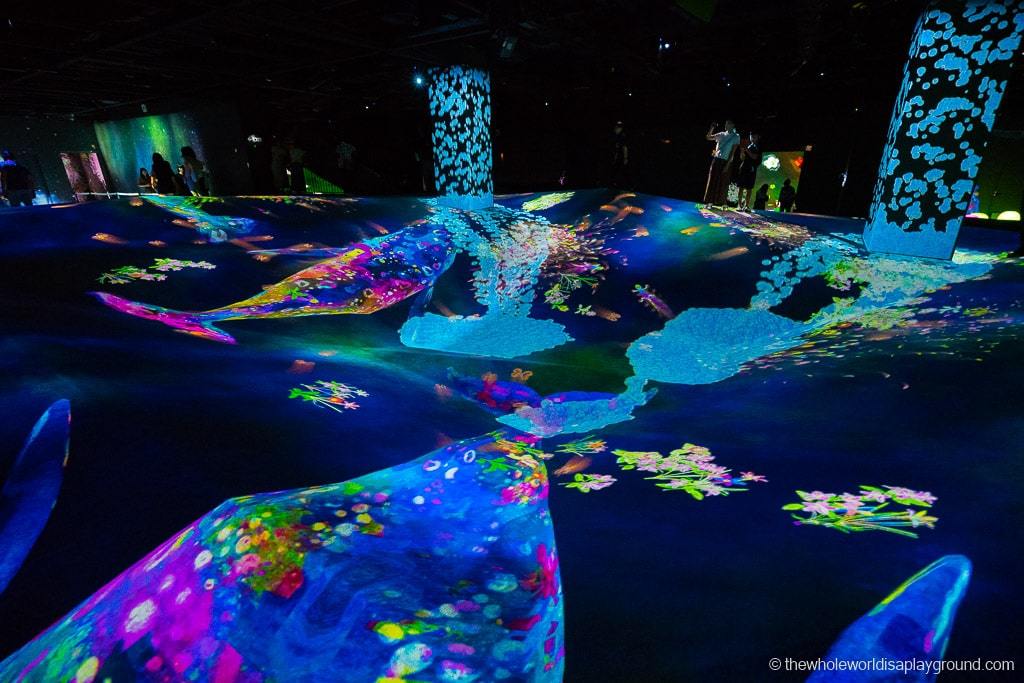 TeamLab Borderless Tokyo: Ultimate Guide | The Whole World Is A Playground
