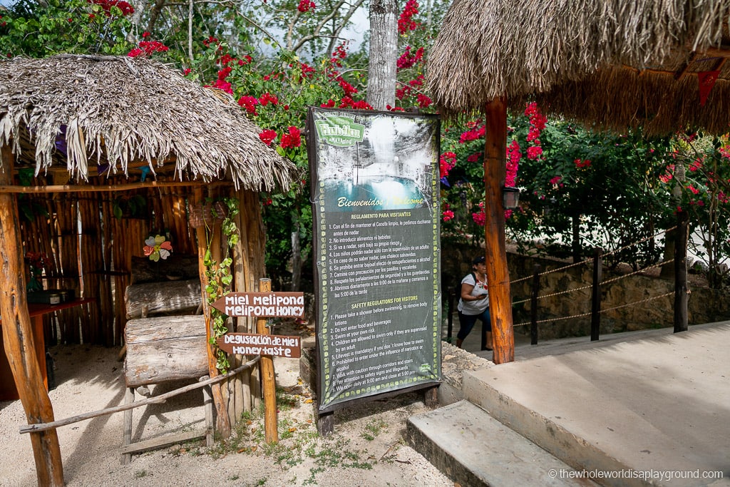 Cenote Hubiku, Valladolid: Ultimate Guide (2021) | The Whole World Is A ...