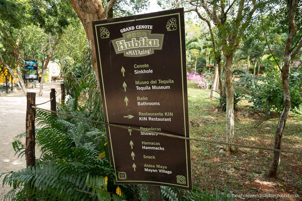 Cenote Hubiku, Valladolid: Ultimate Guide (2021) | The Whole World Is A ...