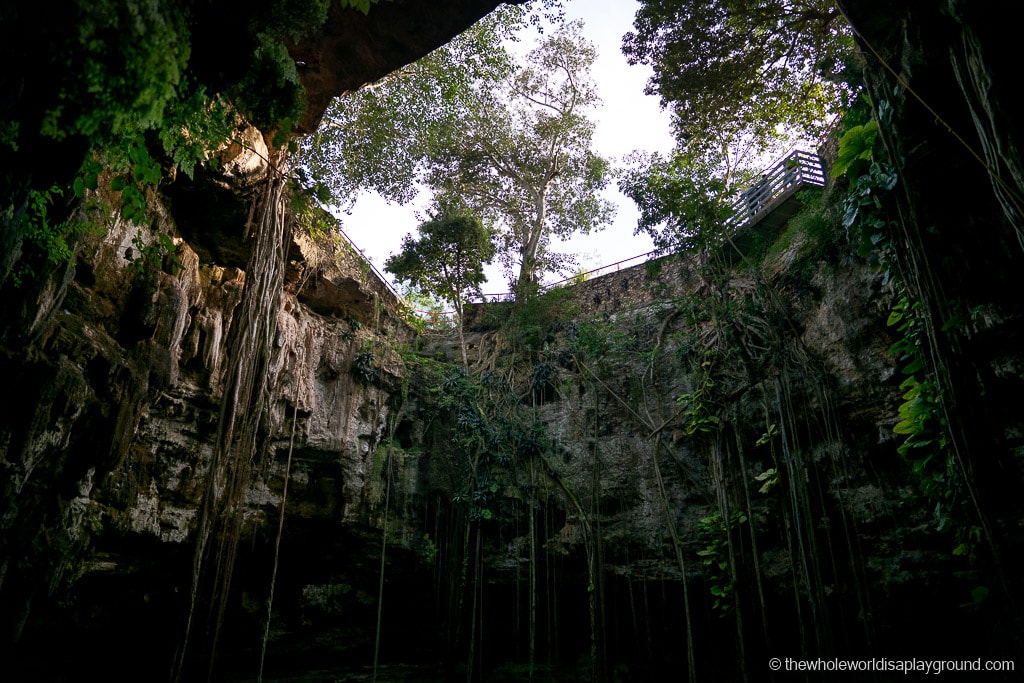 Cenote Oxman, Valladolid: Ultimate Guide (2020) | The Whole World Is A ...