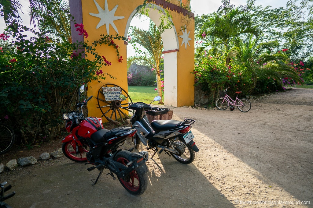 Cenote Oxman, Valladolid: Ultimate Guide (2020) | The Whole World Is A ...