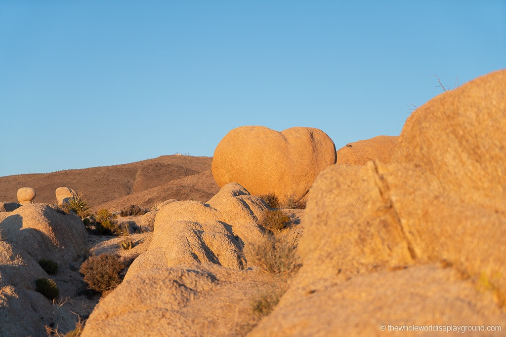 How to get to Heart Rock, Joshua Tree | The Whole World Is A Playground