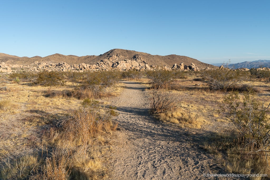 How to get to Heart Rock, Joshua Tree | The Whole World Is A Playground
