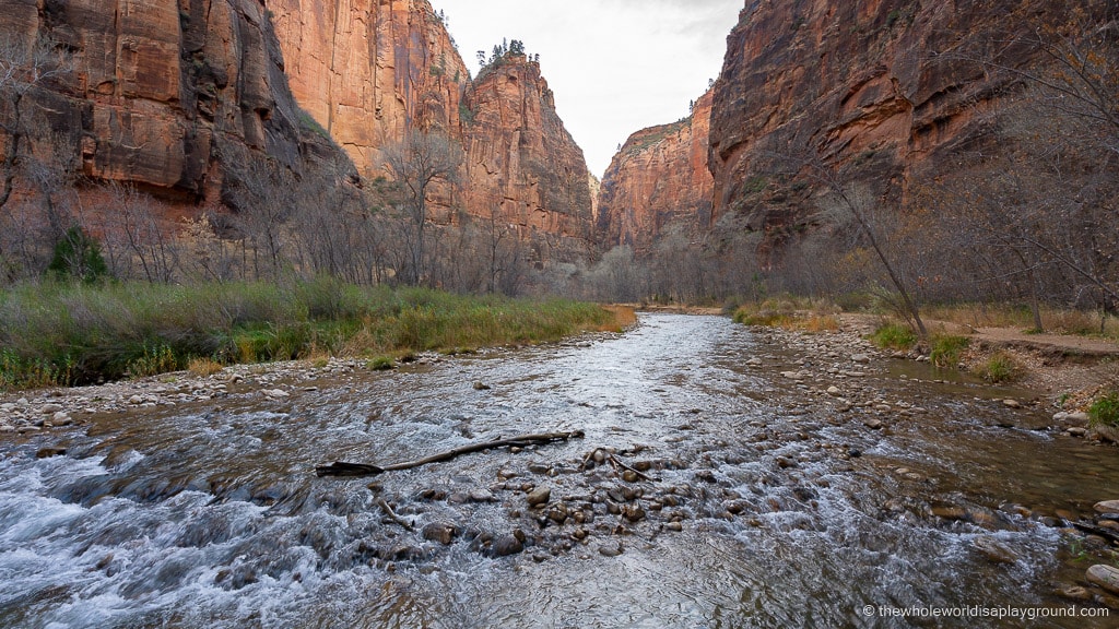 Guide to Riverside Walk, Zion National Park (2023) | The Whole World Is ...
