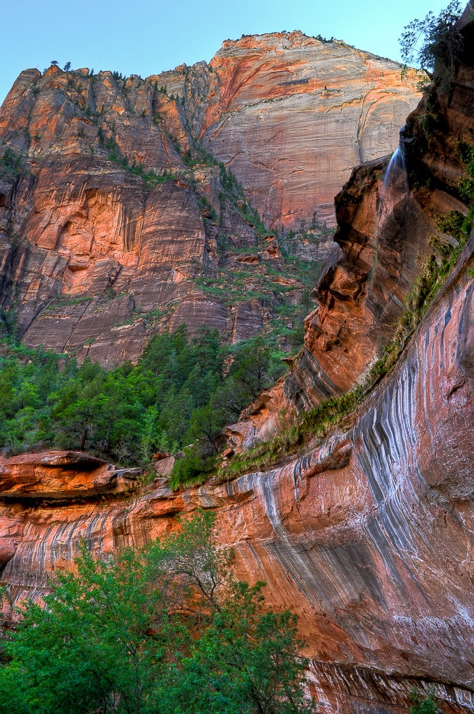 11 Best Hikes in Zion National Park (2020) | The Whole World Is A ...