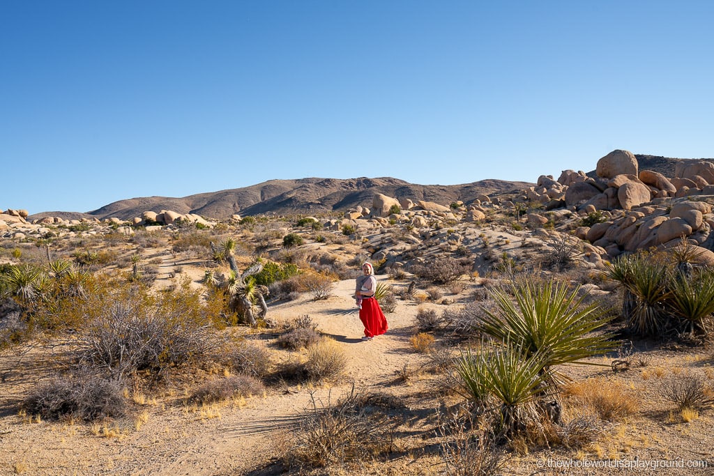 Arch Rock Joshua Tree National Park | The Whole World Is A Playground