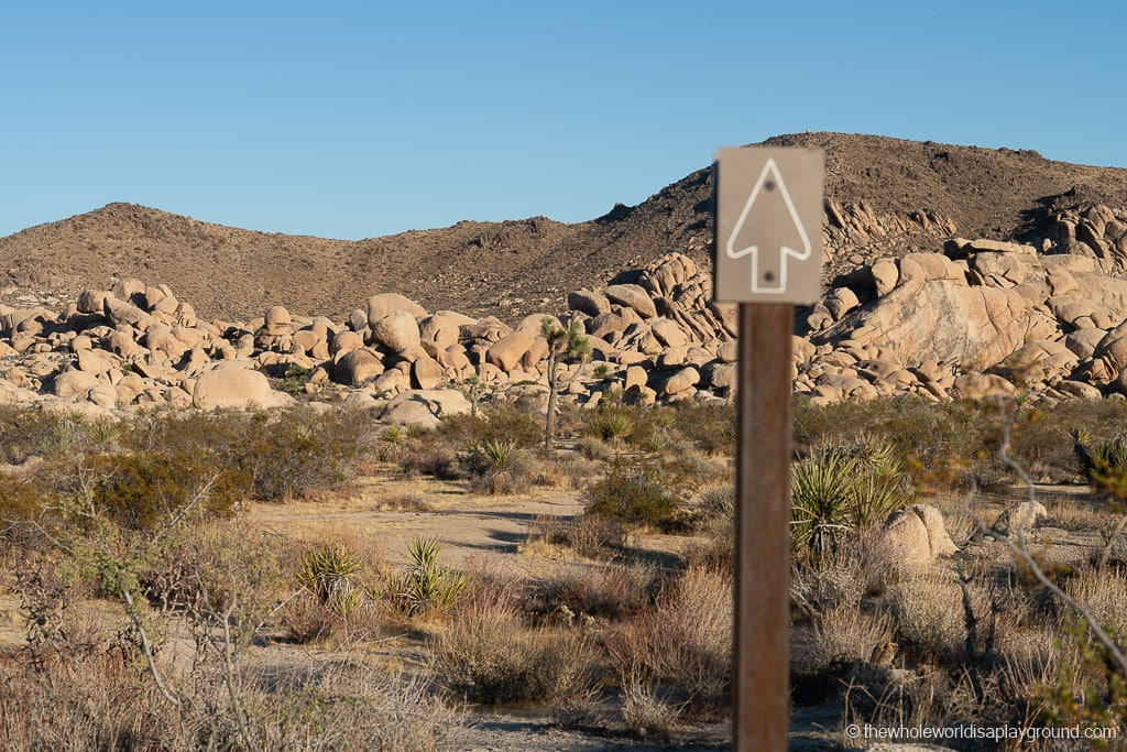 Arch Rock Joshua Tree National Park | The Whole World Is A Playground