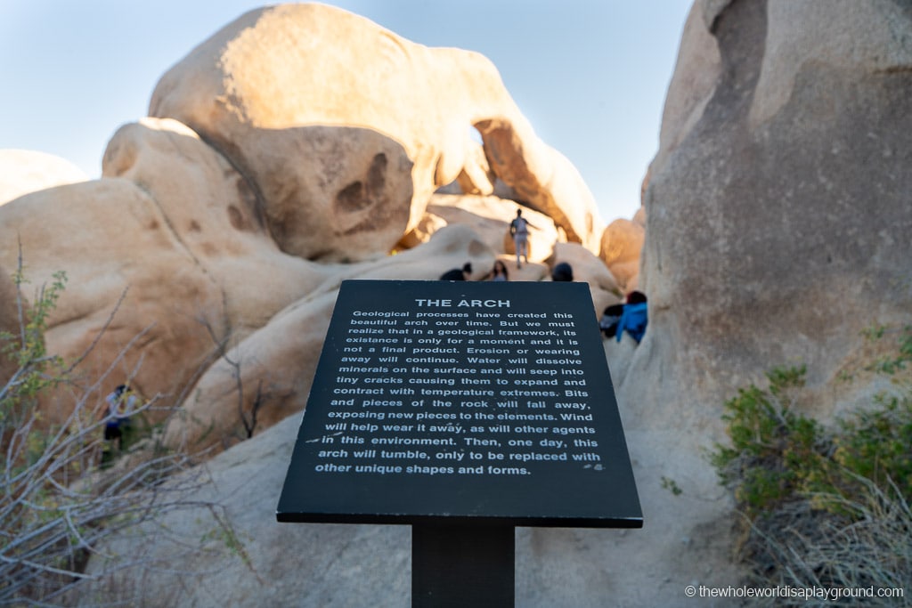 Arch Rock Joshua Tree National Park | The Whole World Is A Playground