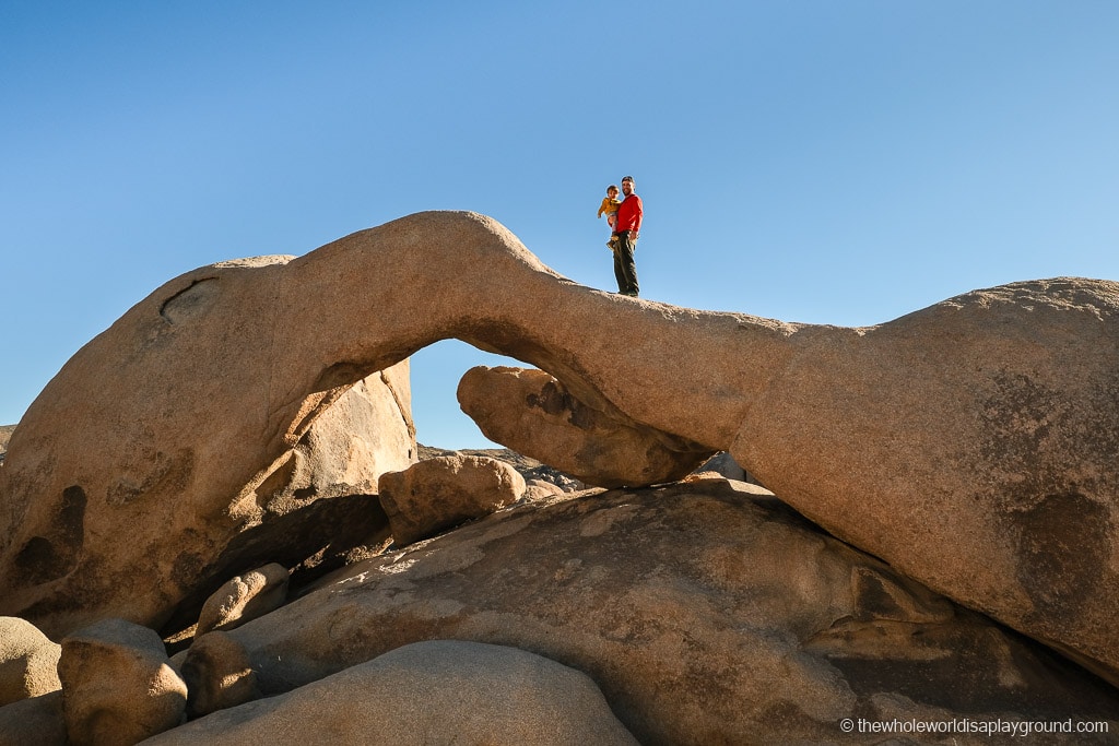 Arch Rock Joshua Tree National Park | The Whole World Is A Playground