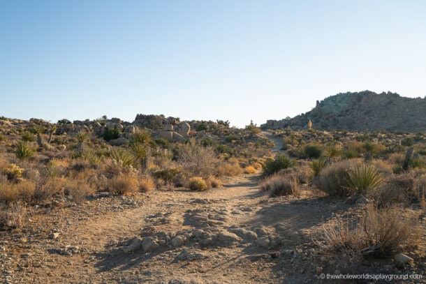 Desert Queen Mine Joshua Tree | The Whole World Is A Playground