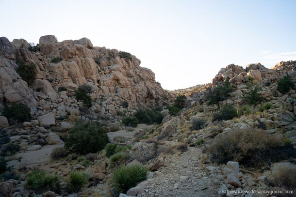 Desert Queen Mine Joshua Tree | The Whole World Is A Playground