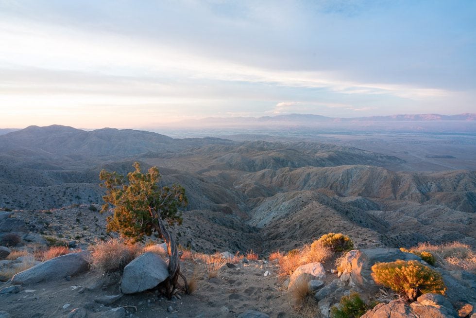 Joshua Tree National Park in Winter | The Whole World Is A Playground