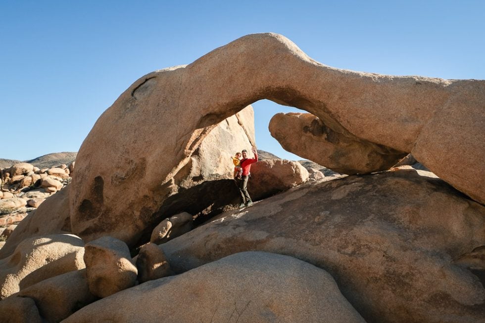Joshua Tree National Park in Winter | The Whole World Is A Playground