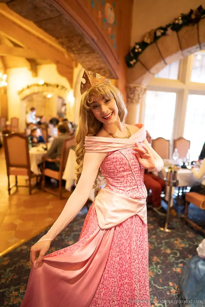 Disney Princess At Disneyland