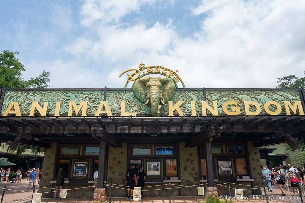 Animal Kingdom Early Entry Strategy (2024) | The Whole World Is A ...